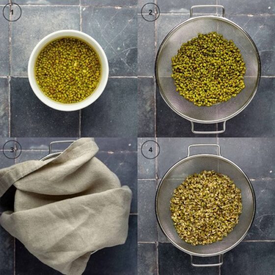 Sprouts Chaat - Lime Thyme